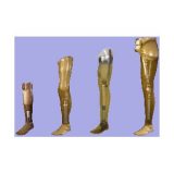 Goldings Ortho | Leg Prosthetics
